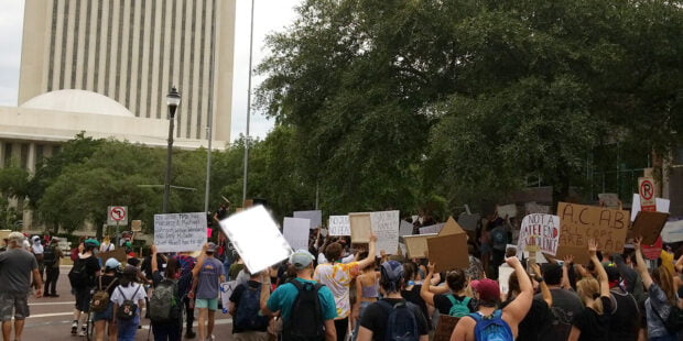 DIY Protest Toolkit Herbal Guides - Weeds and Deeds